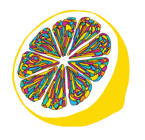 Renegade Lemonade (Lemon Wine)